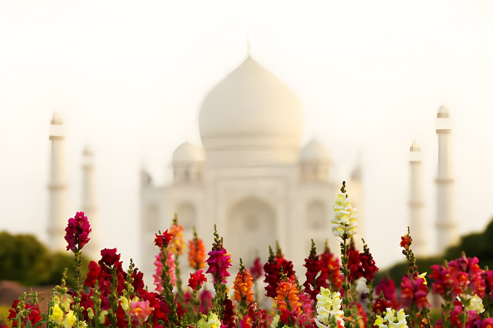 Best Time to Visit the Taj Mahal: Month-by-Month Guide - Tickets Taj Mahal